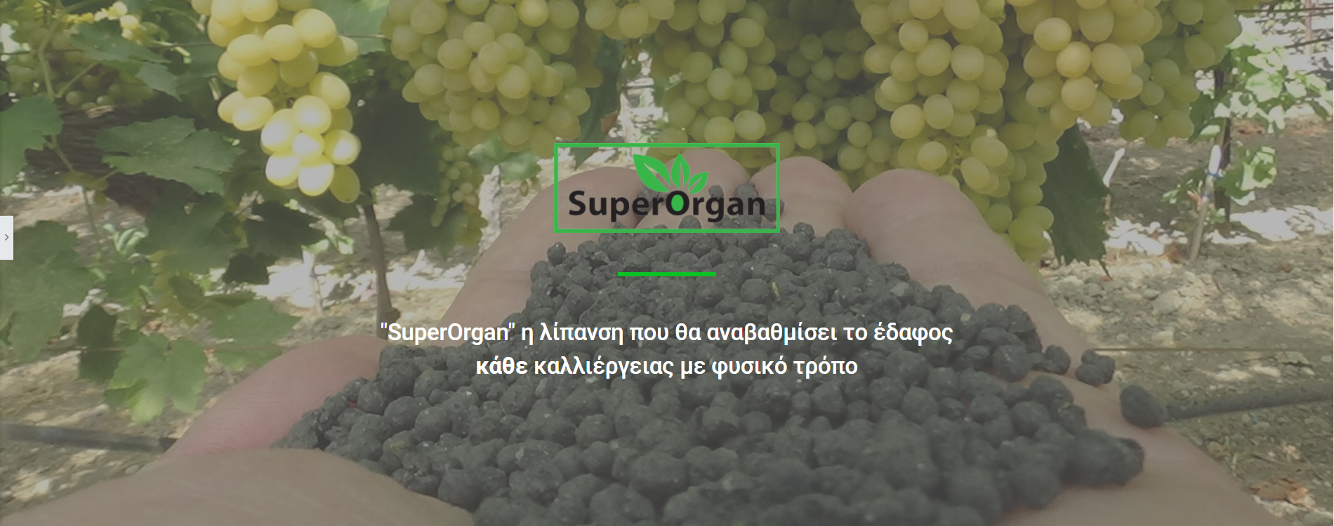 SuperOrgan - Η ιδανική αναβάθμιση για όλες τις καλλιέργειες