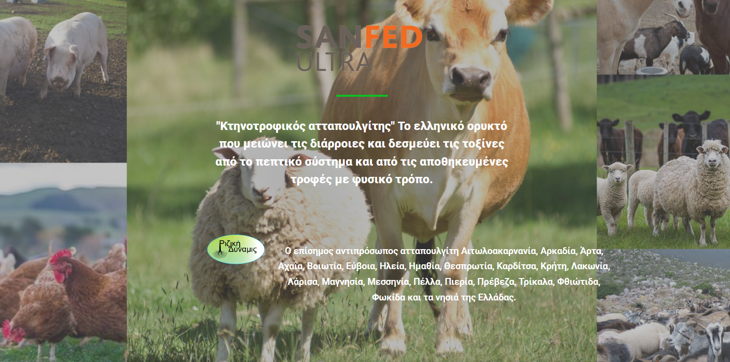Κτηνοτροφικός ατταπουλγίτης - Ριζική Δύναμις